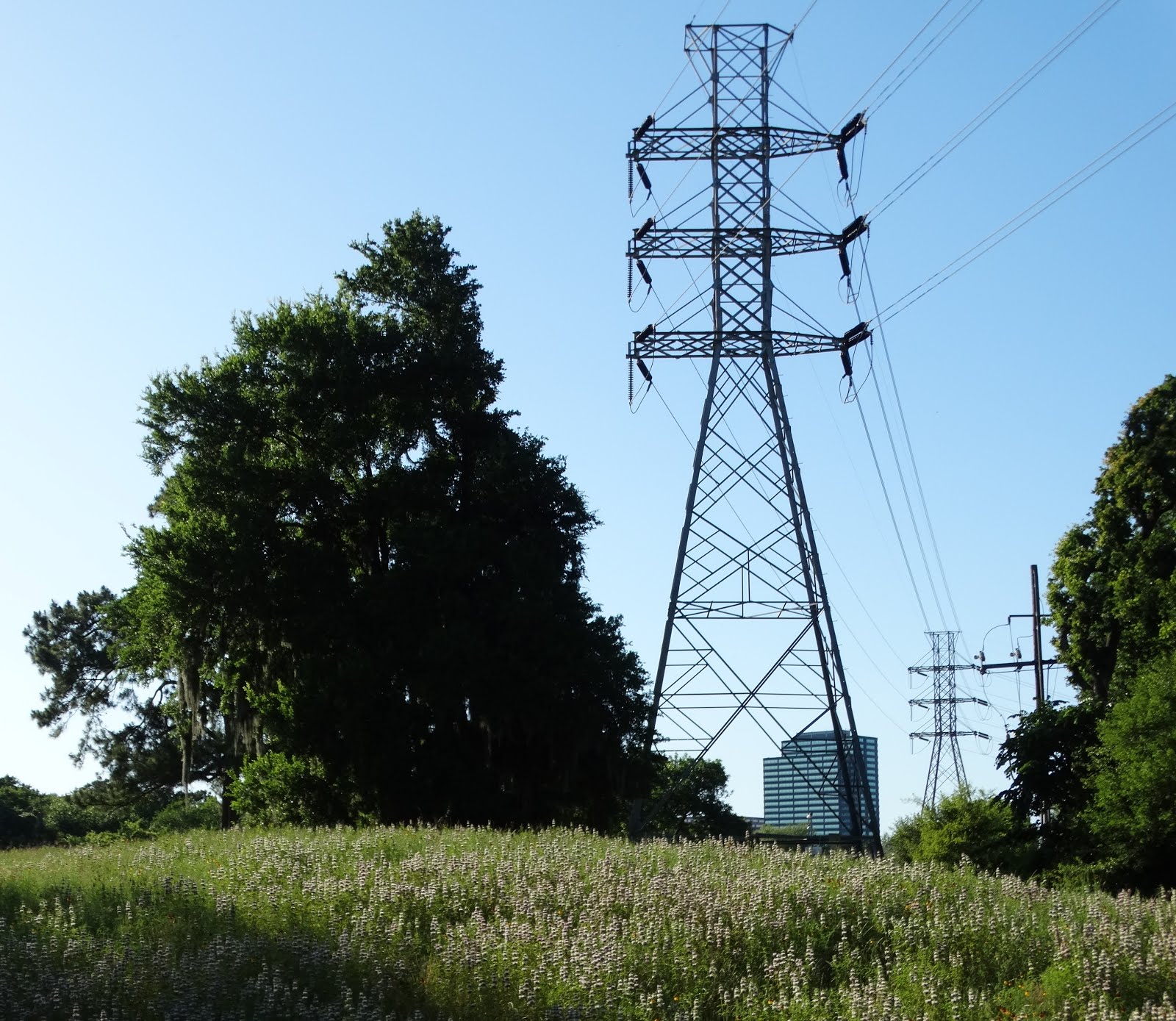 H-Town-West Photo Blog: US Flag at Houston Energy Corridor Corporate ...