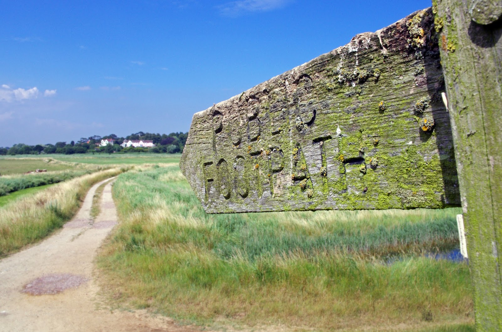 Essays and Diversions: Great Britten