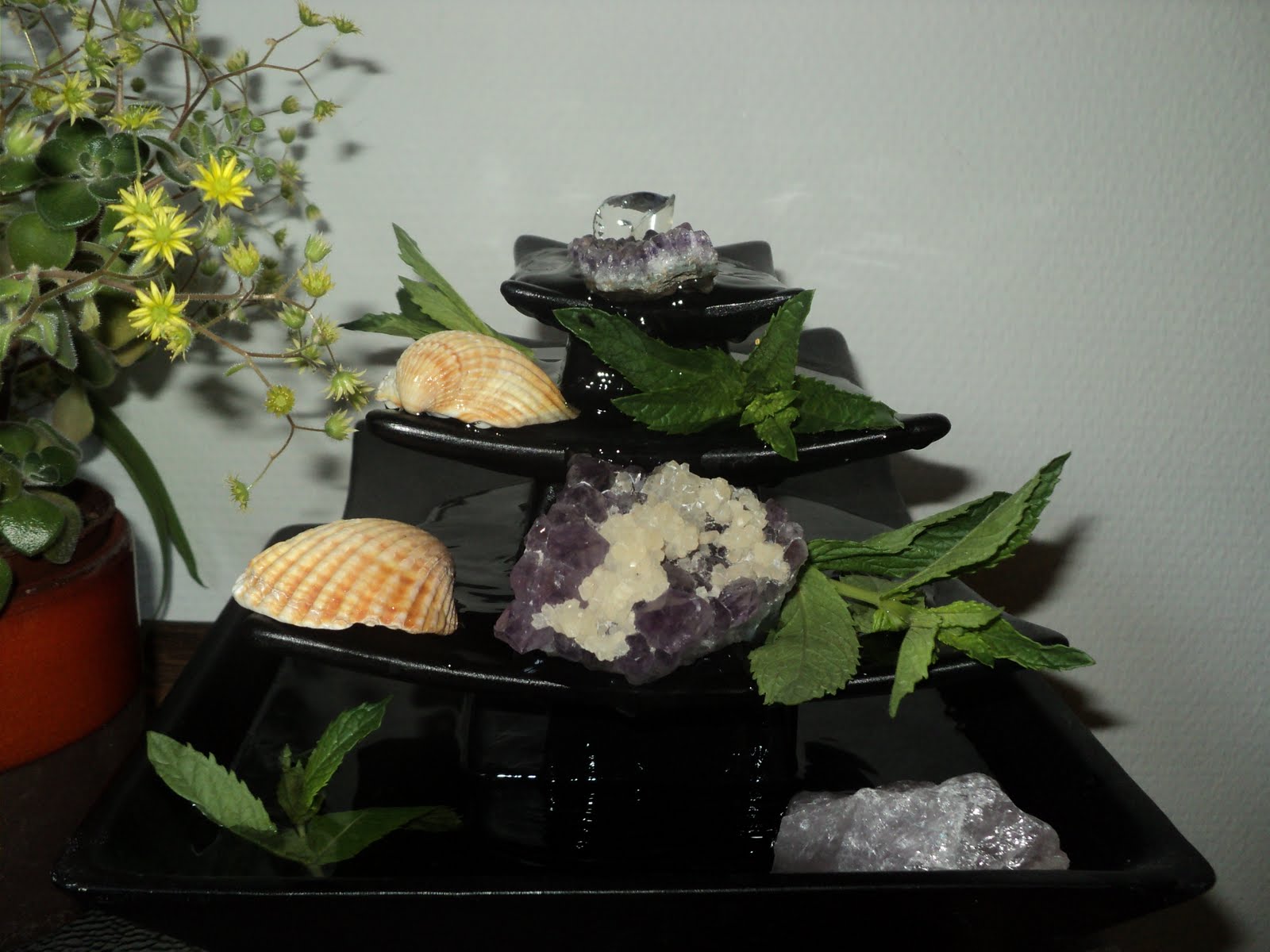 naturalete si firesc: Miresme de menta si floare de salcam, maces, si soc