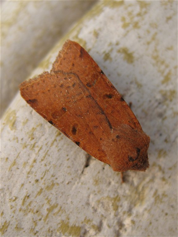 The Natural Stone: September 2011