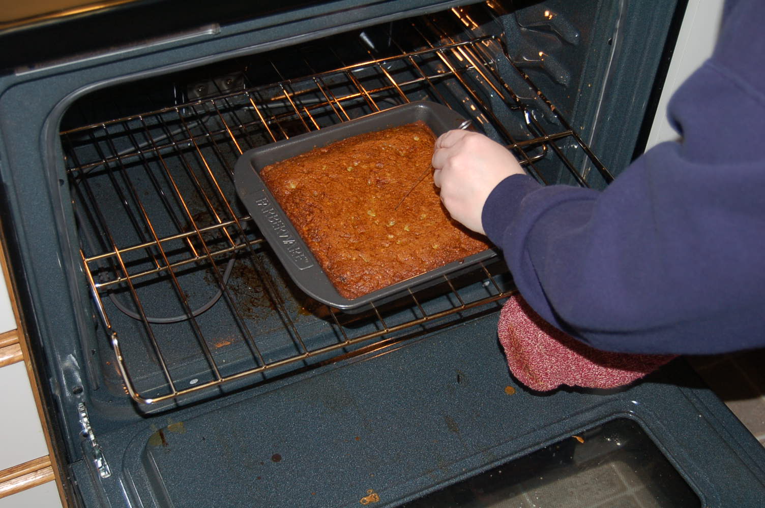 The Unofficial Hunger Games Cookbook