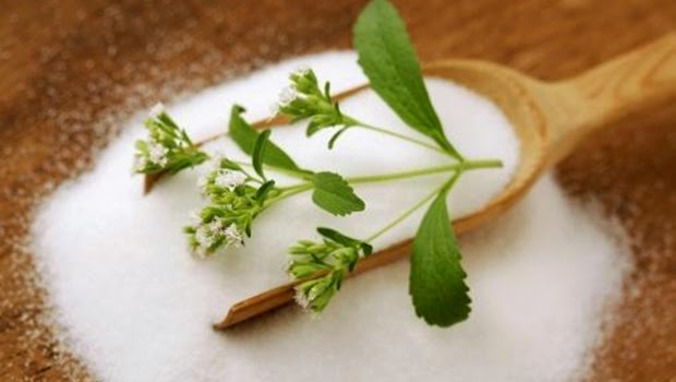 Vive Fit: Endulzante de stevia casero