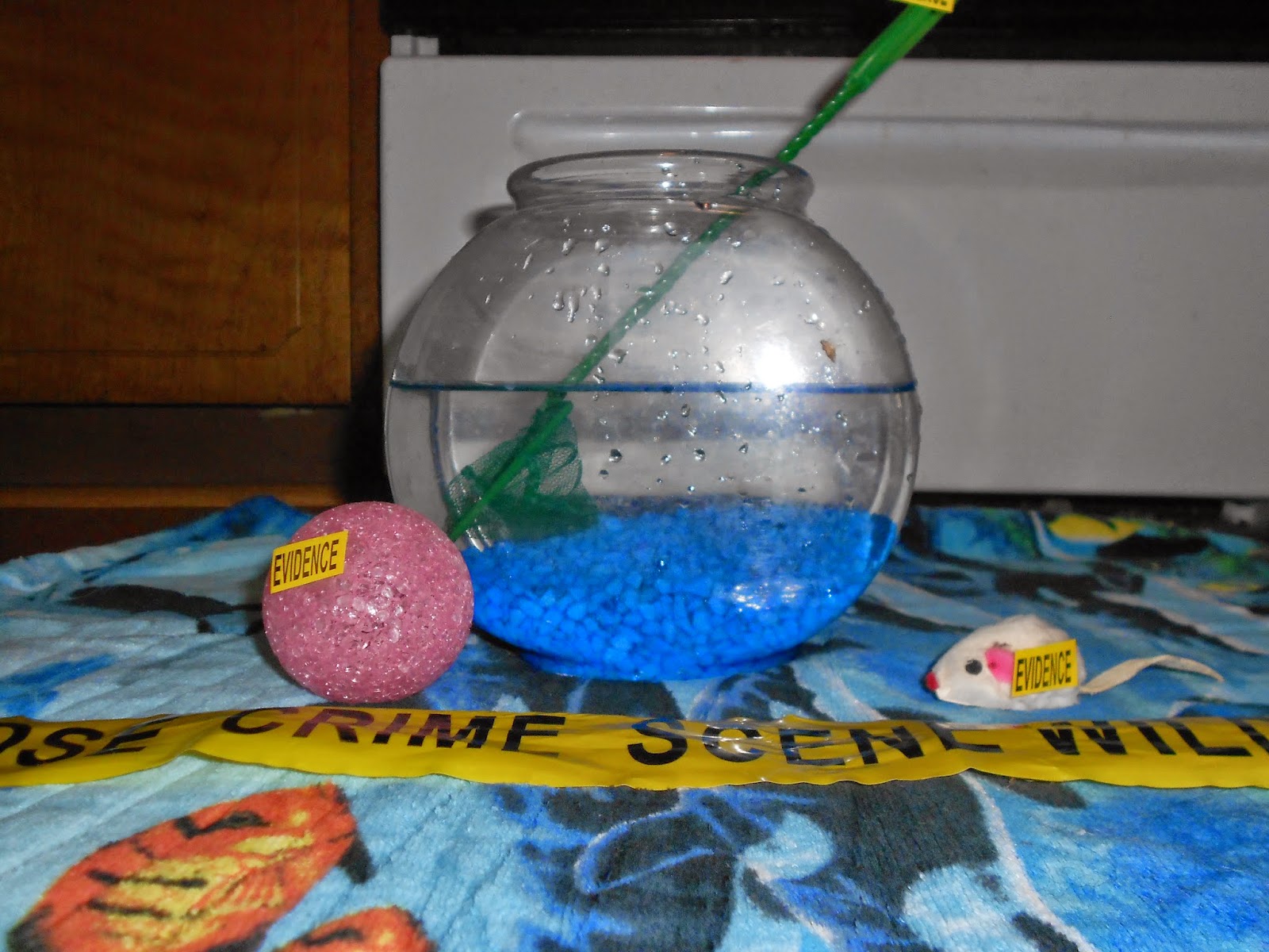 Classroom Freebies Too: The Mysterious Missing Goldfish: A Photo ...
