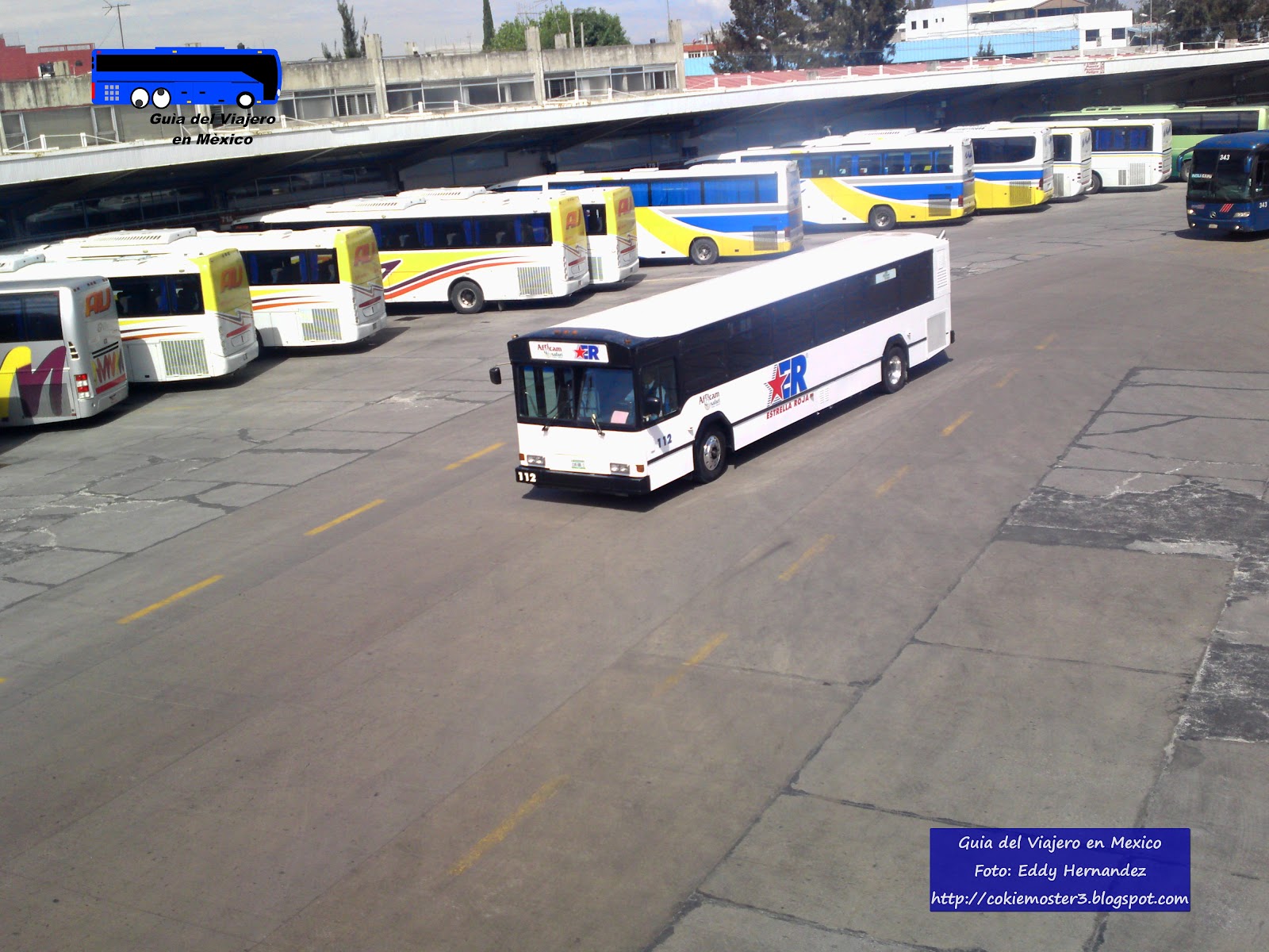 Transportes Publicos: Estrella Roja de Puebla Africam Safari
