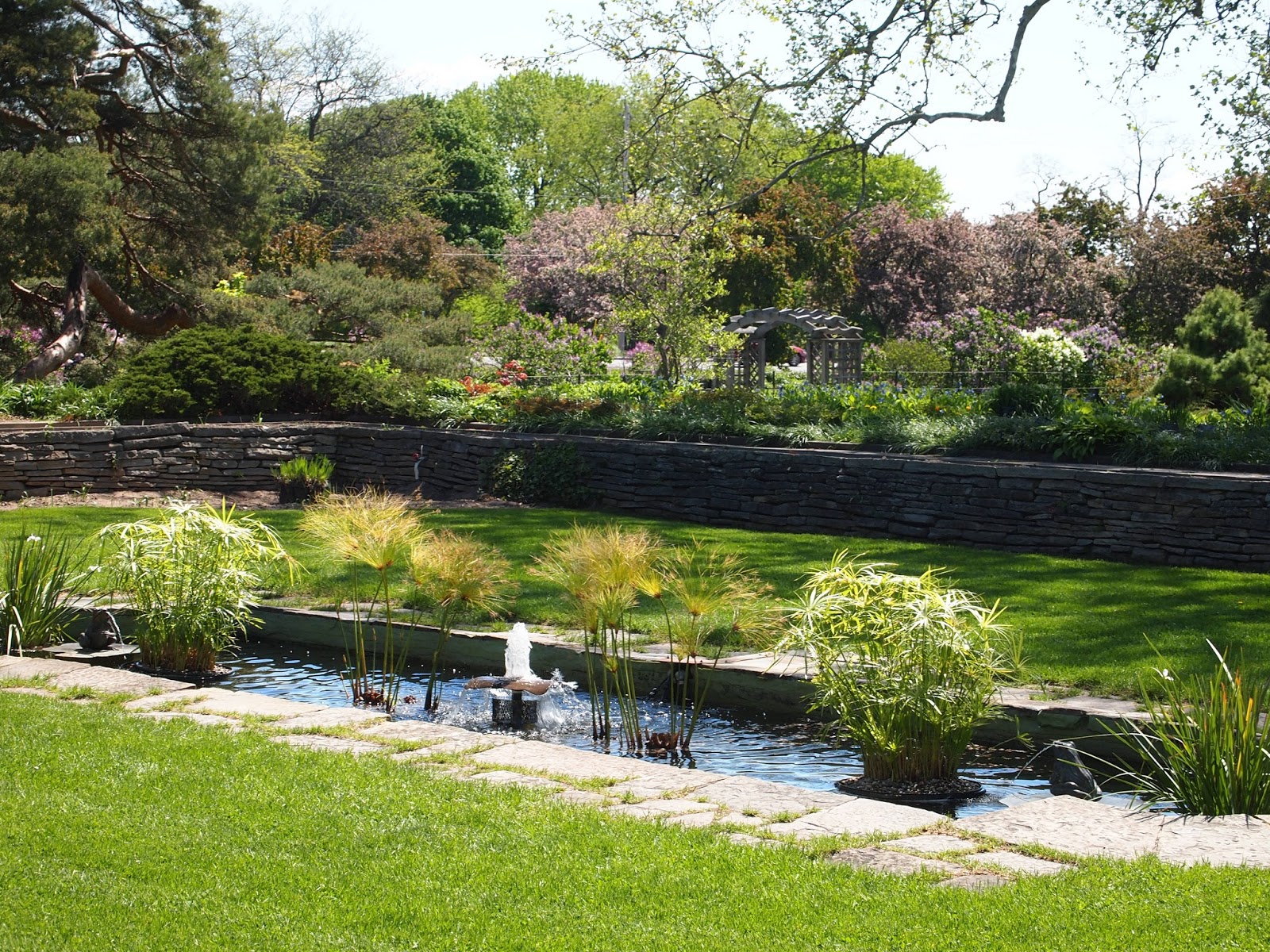Number 16: Tulip Time in Ottawa: Photos from the Ornamental Gardens