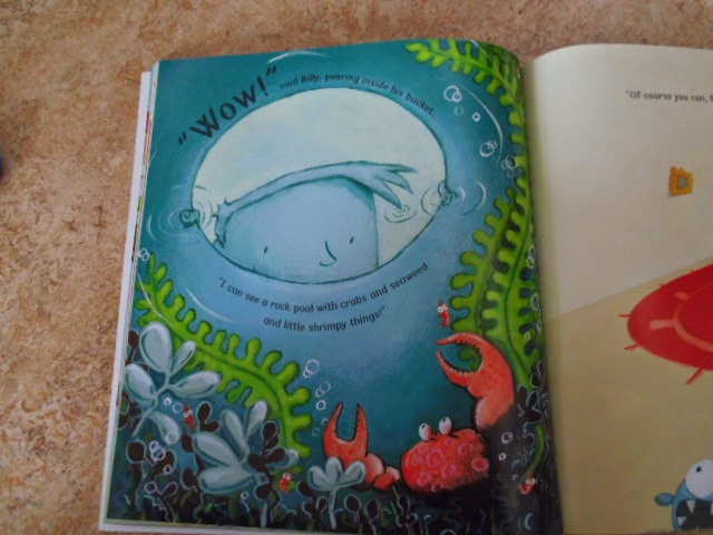 Ms. McLoughlin's class, 2nd Class, Room 9: Billy's Bucket