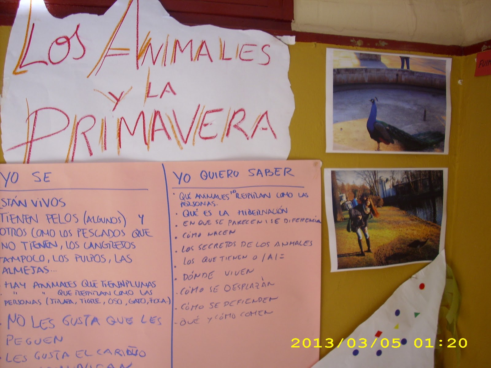 Infantil Gloria: LA PRIMAVERA Y LOS ANIMALES
