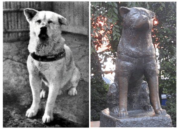 MAFERBA en el MUNDO : Hidesamuro Ueno y Hachiko
