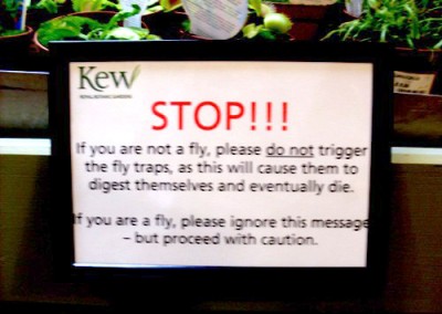 If You Are Not A Fly... |﻿ Jokes/Interweb Things