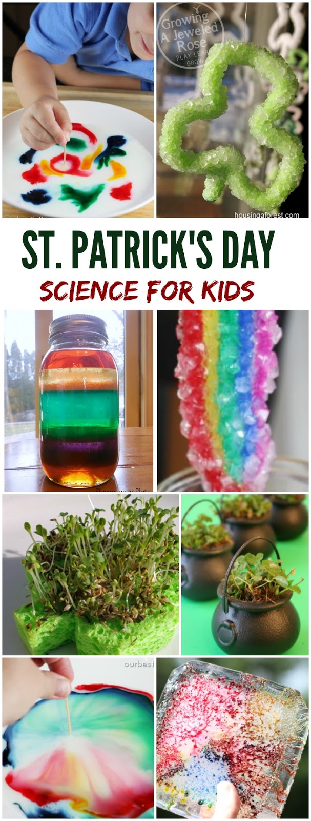Kids Science for St. Patrick's Day | Growing A Jeweled Rose | Bloglovin’