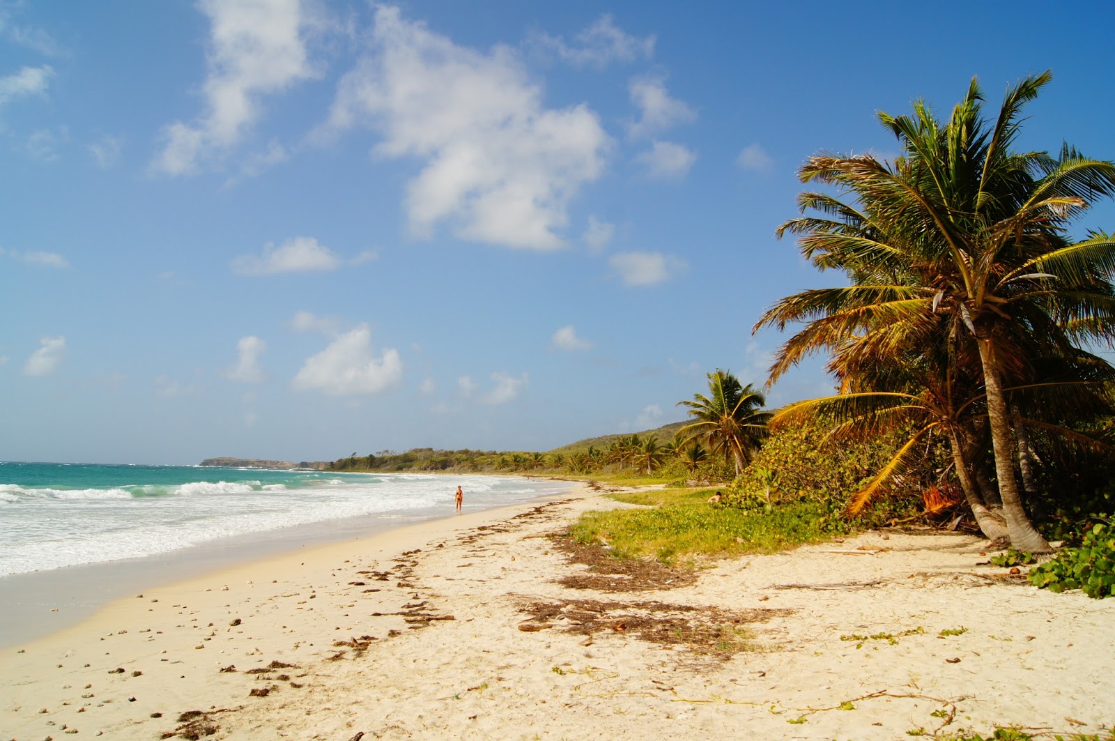 PETITS PARADIS: Anse Trabaud (Sainte-Anne, Martinique)