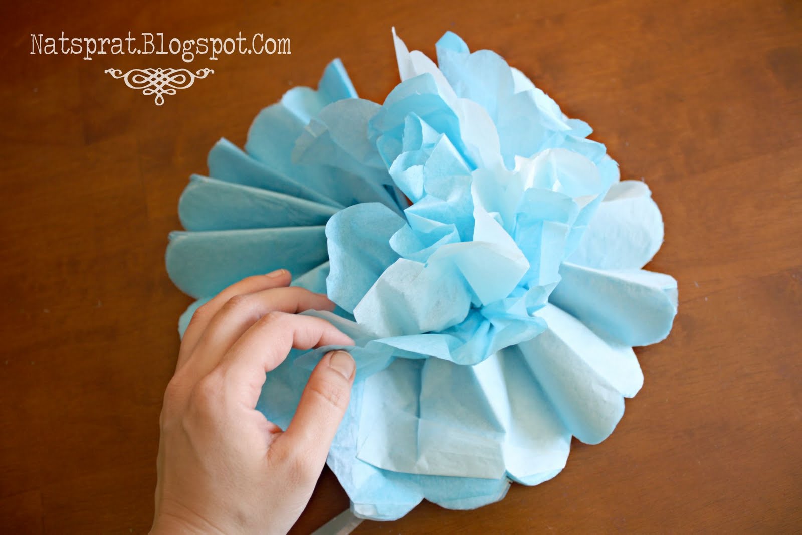 NatSprat: Tissue Paper Flower Tutorial