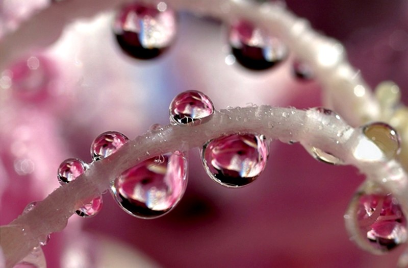 Best WallPapers: Colourful Raindrops Wallpapers