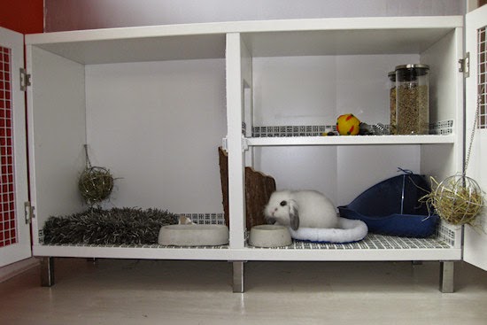 Rabbit Nation: Indoor Rabbit Cage Ideas