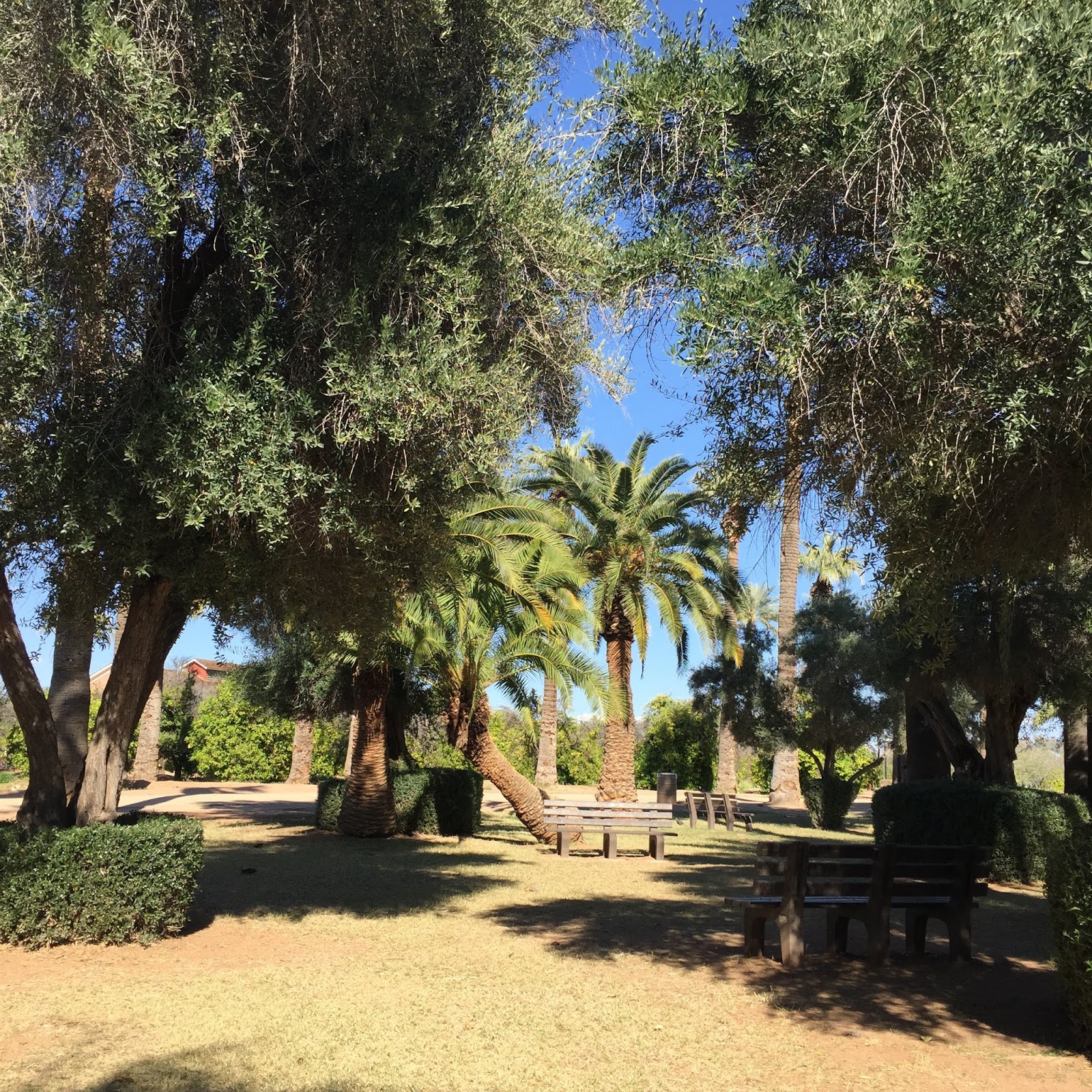 History Adventuring: Walking around the Sahuaro Ranch, Glendale, Arizona