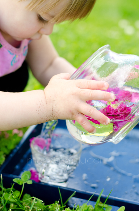Sweet Roots {Infusions of Herbal Living}: How to make your own ...