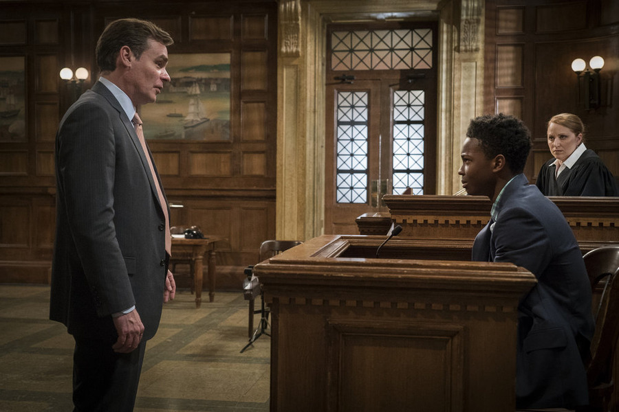 All Things Law And Order: Law & Order SVU “Transgender Bridge” Recap ...