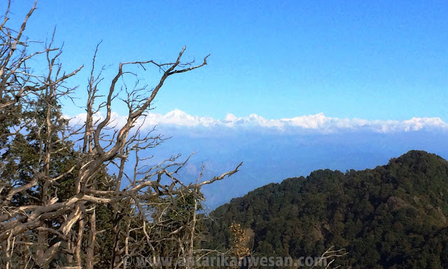 When we got lost in Himalayan Forests- The Nag Tibba Trek