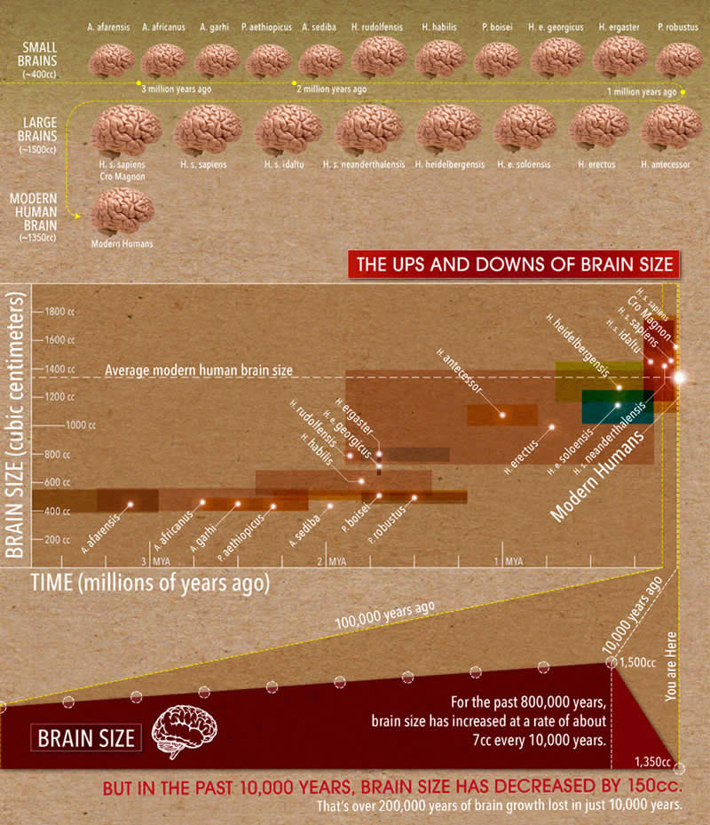 Persona Non Grata: COTW: The Amazing Shrinking Brain
