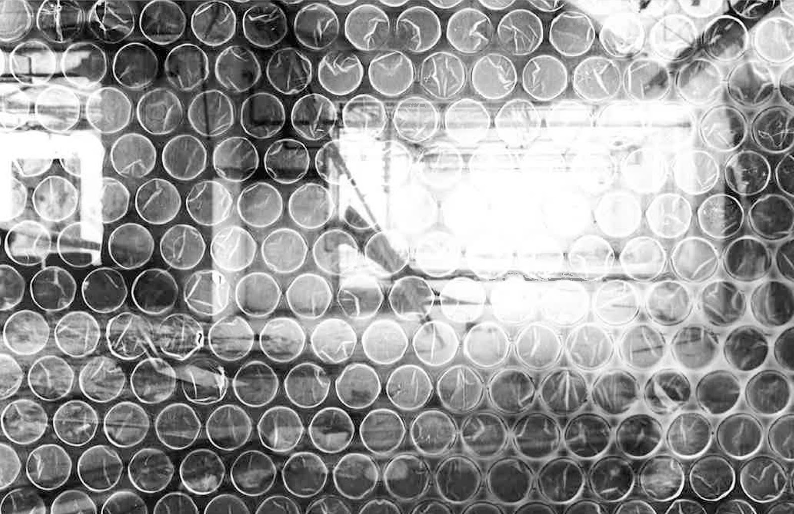 Lauren Carr: Dark Room Experiments.