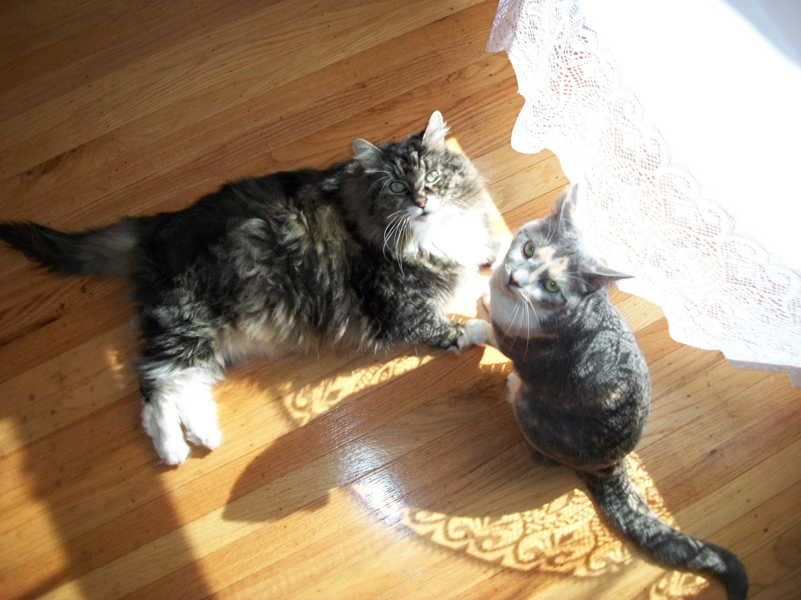 Mish Mosh (A little bit of this and a little bit of that): Gross! My ...