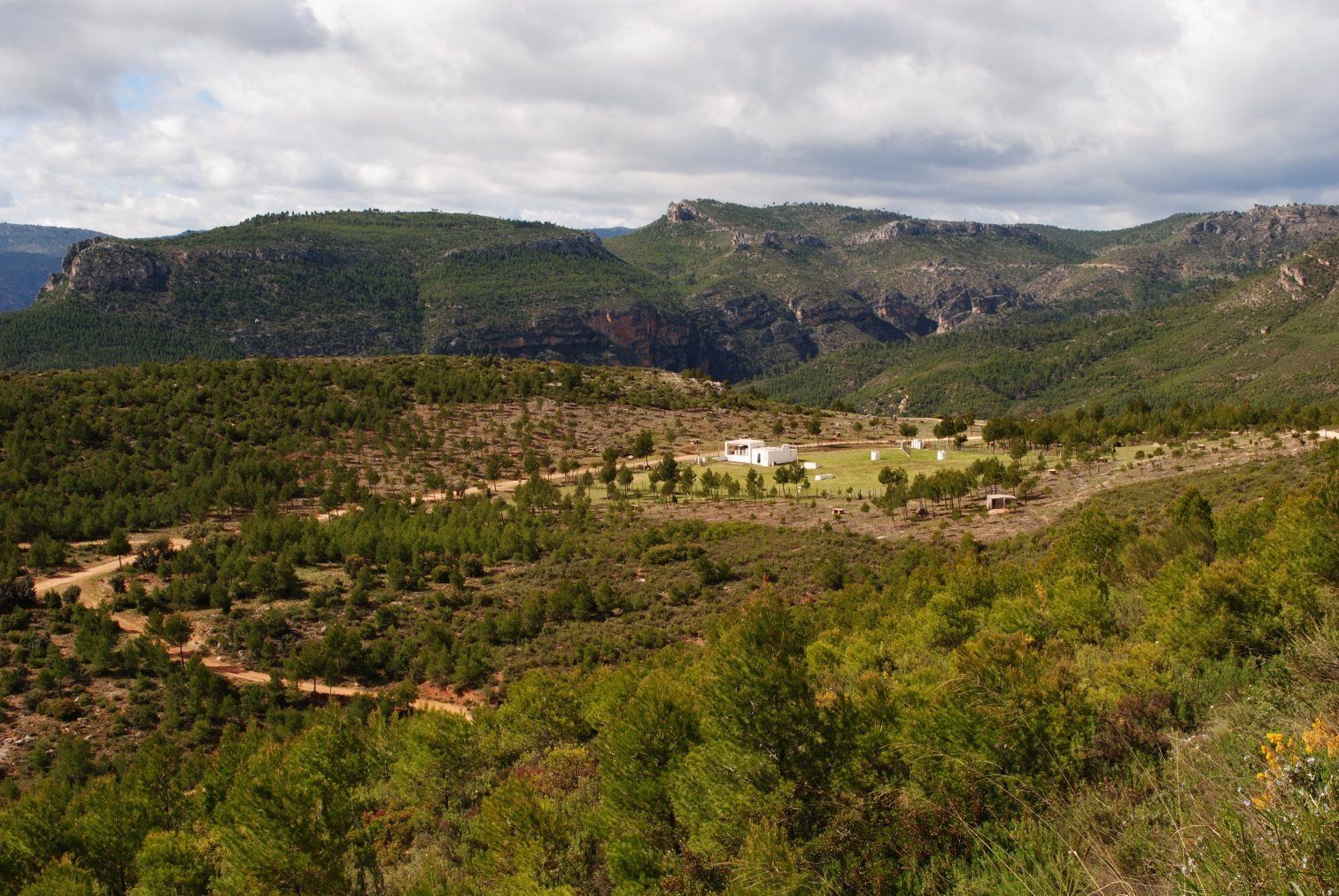 Yeste. Albacete. Paisajes: junio 2015