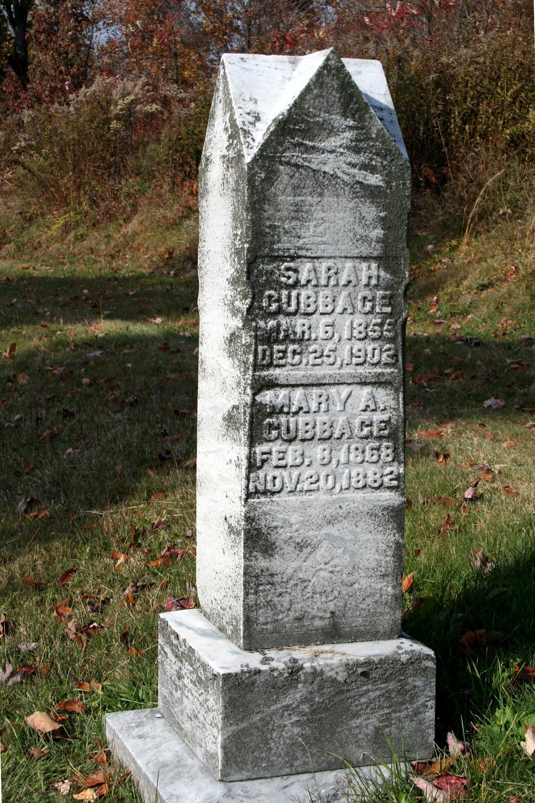 Cubbage Genealogy: Tombstone Tuesday - Sarah & Mary Cubbage