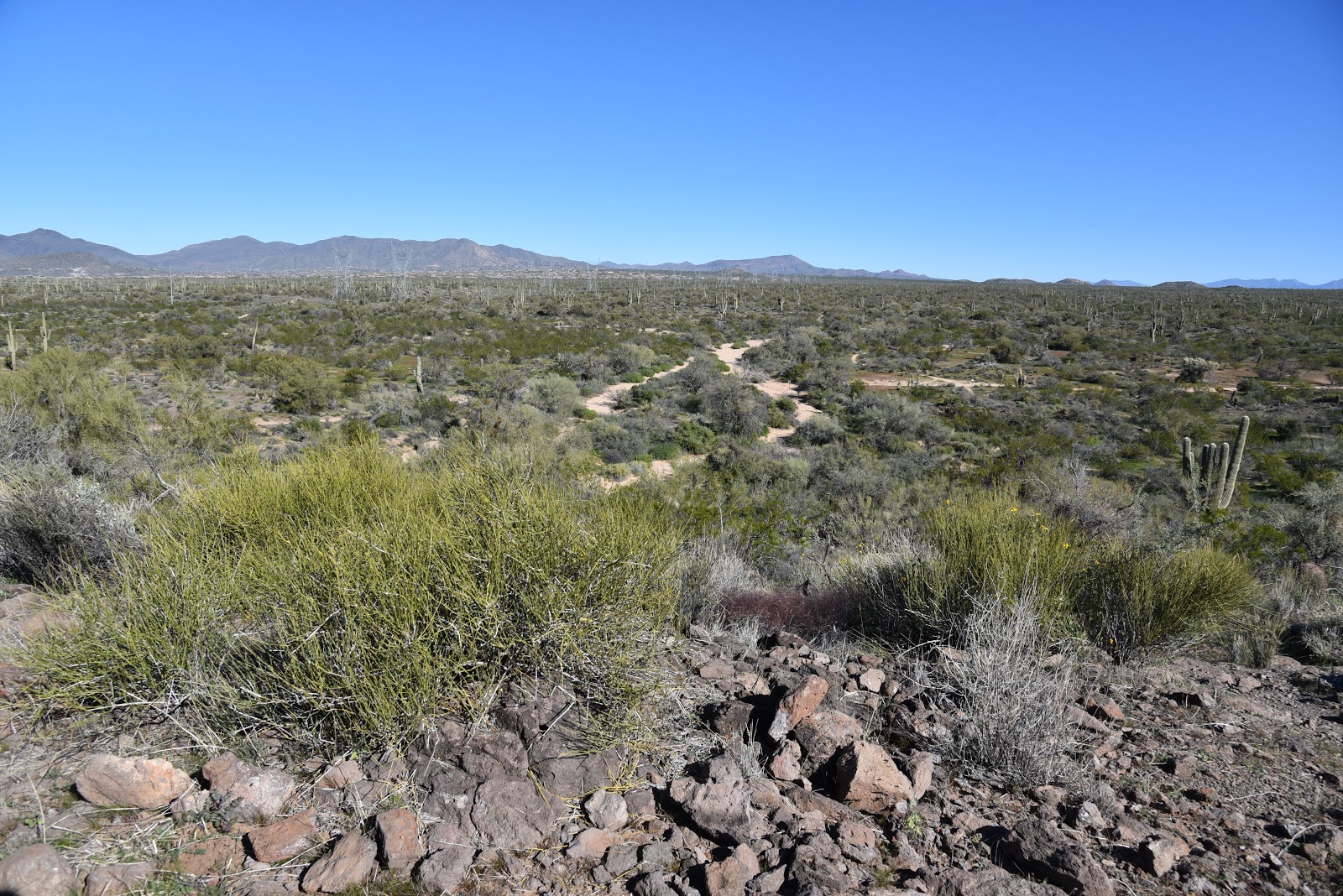 Arizona Hiking: BASALT RIDGE OVERLOOK