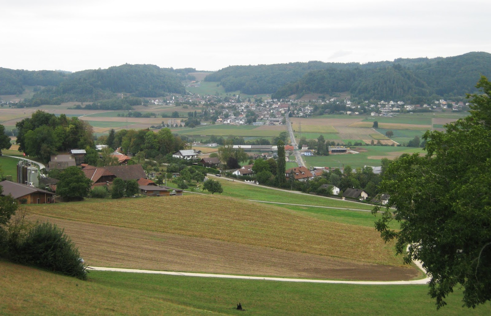 Wanderlust: Reitnau – Schöftland, 30.08.2018