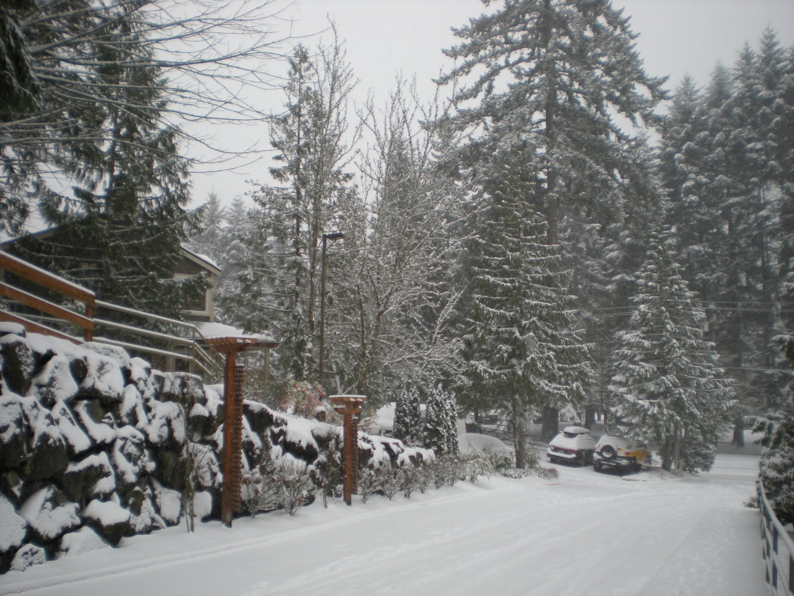 More Snow This Winter in Seattle than New York and Boston...Combined ...