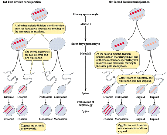 Miss Parker's Science Blog: Class Material Recap for 4/7/2011