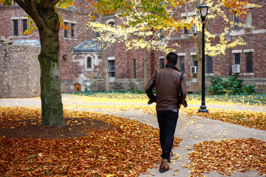Prestigious Fall — LEVITATE STYLE