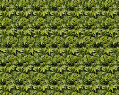 Mengenal Lebih Jauh Autostereogram: Melihat, Membuat dan Simulasi 3D ...