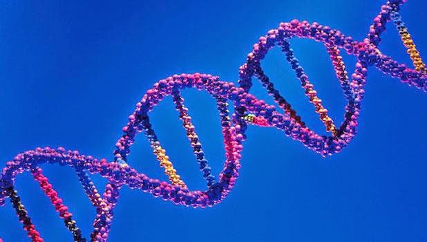 What Is Genome Sequencing Omics Tutorials
