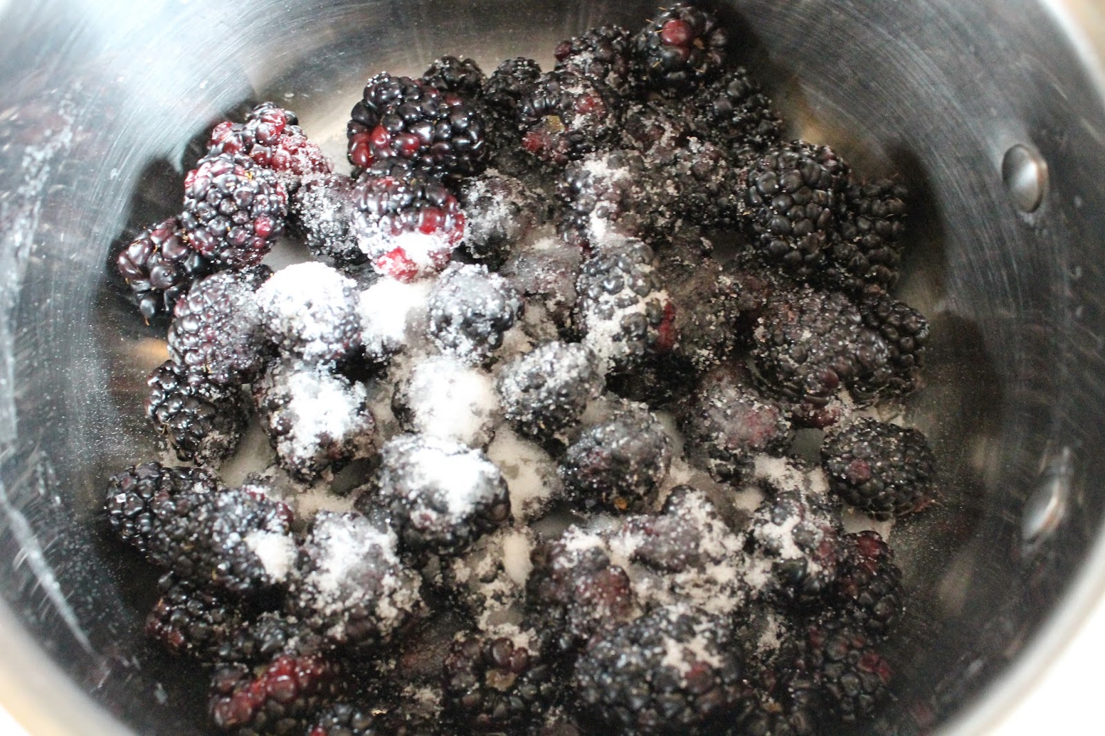 Blackberry Cheesecake Squares | The Brunette Baker