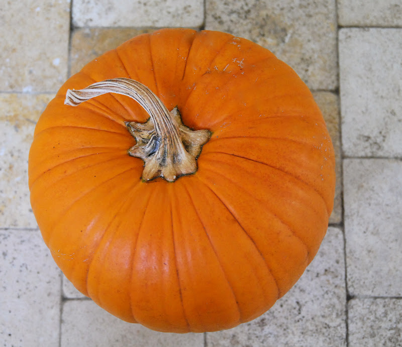 My Recession Kitchen...and garden: Roasted Pumpkin Soup