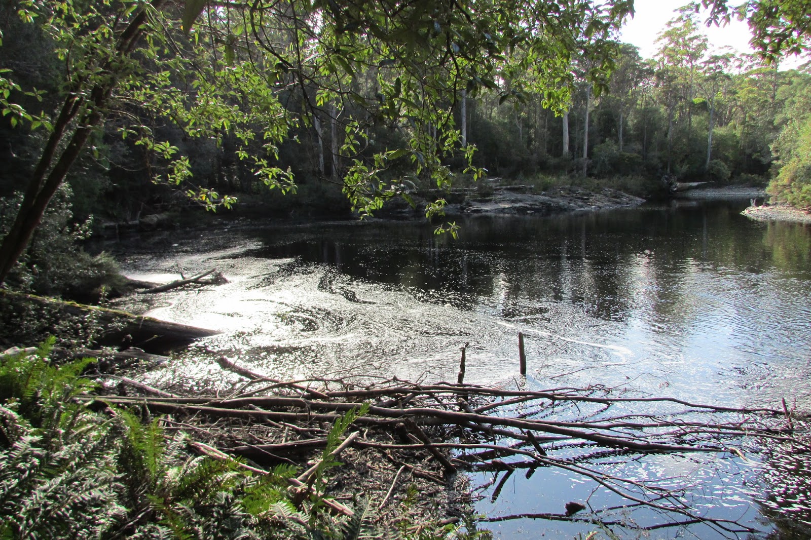 Weld River | Hiking South East Tasmania