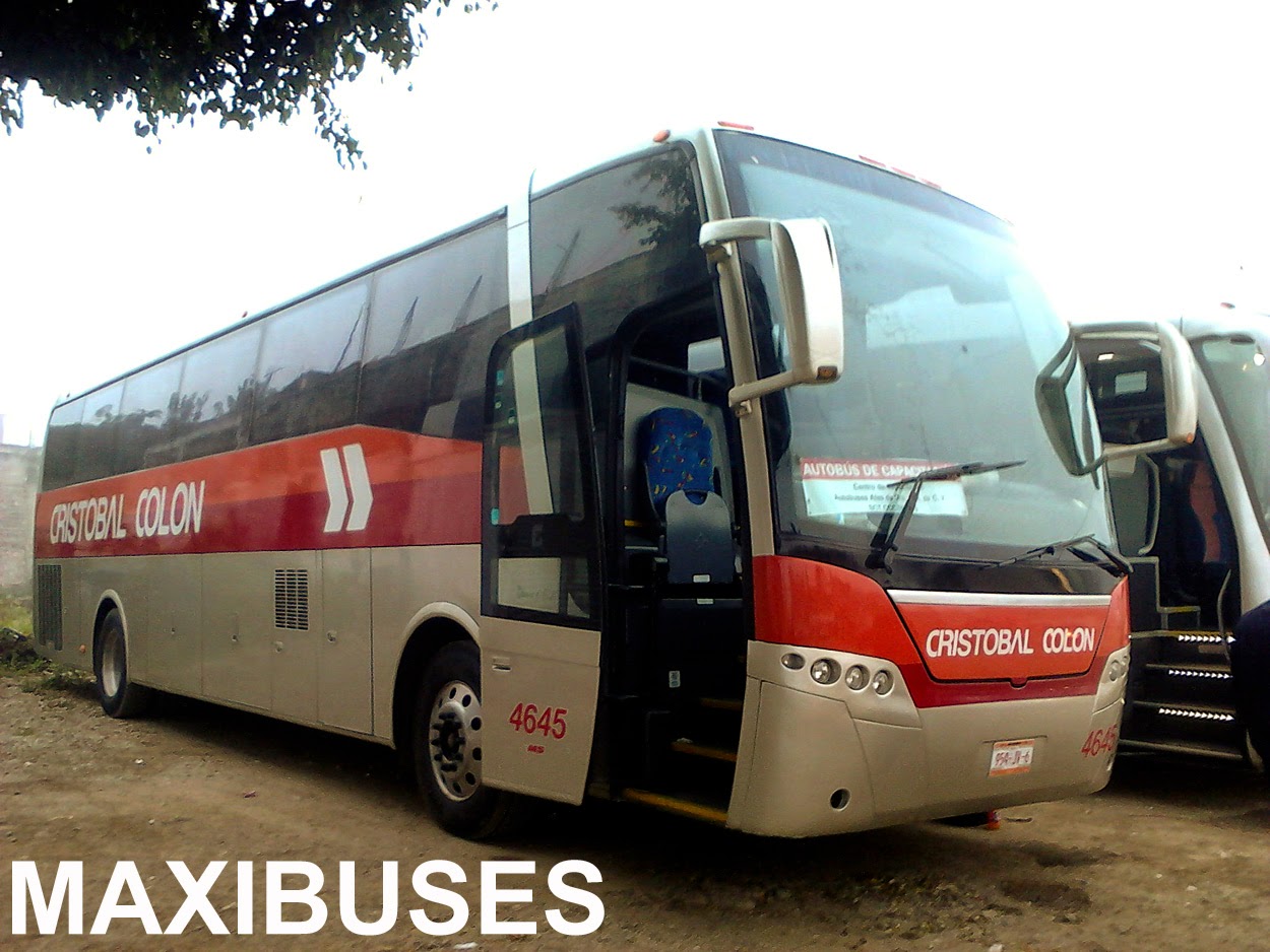 MAXIBUSES: CRISTOBAL COLÓN