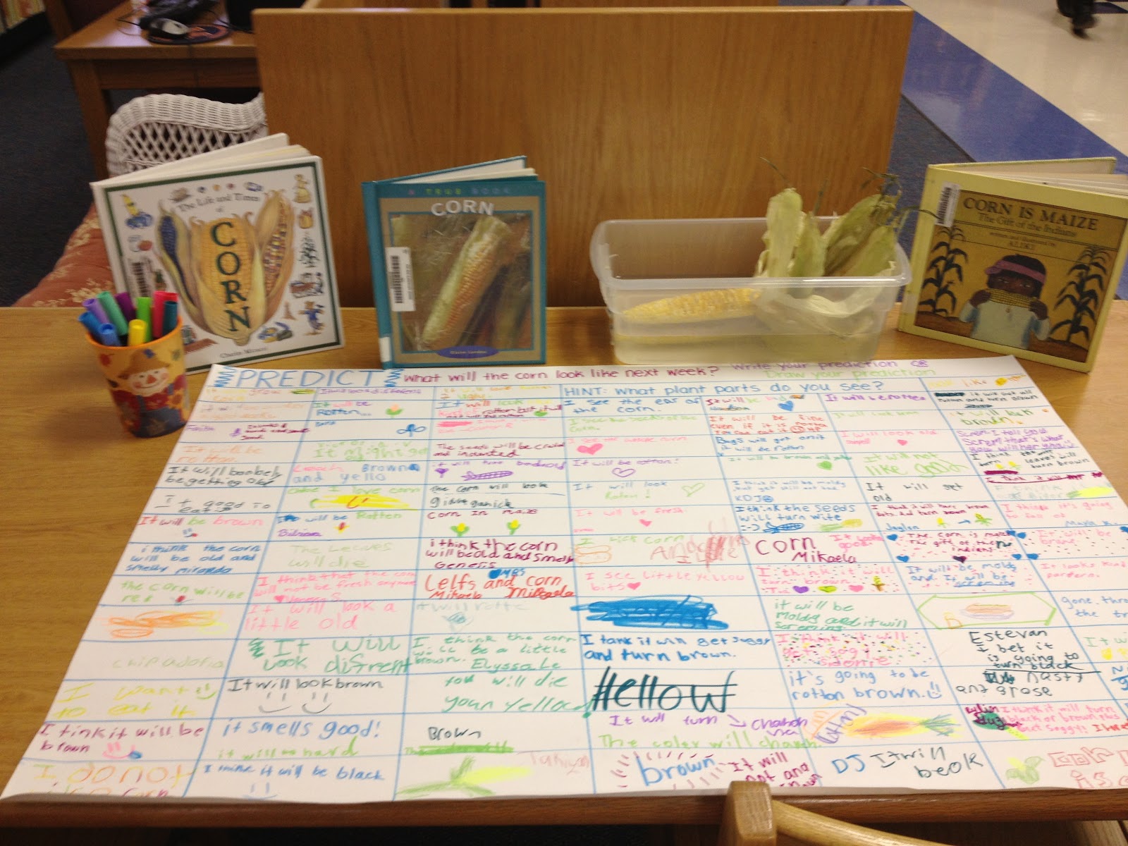 Opening Minds in Library Centers - Library Learners