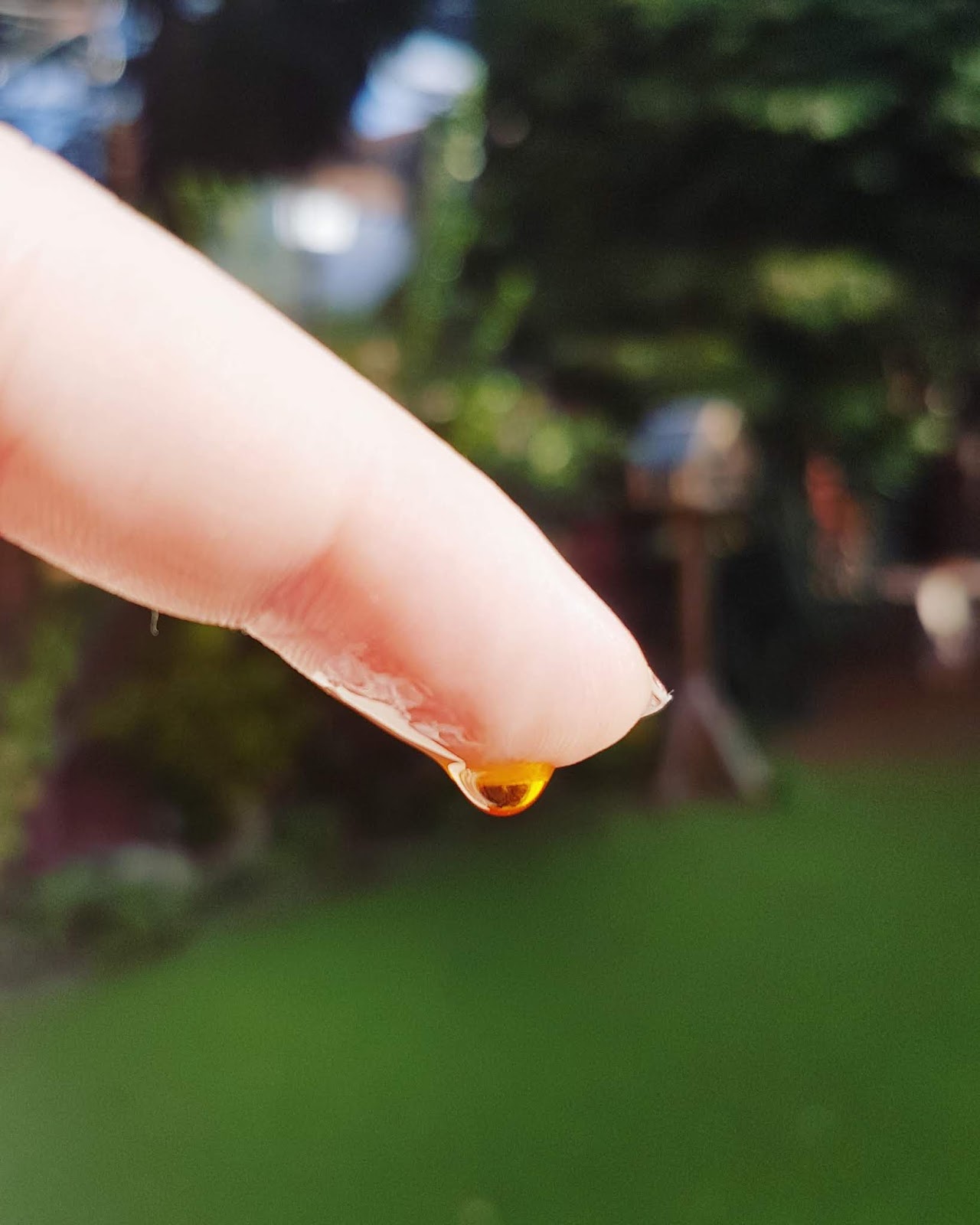 Okoko Cosmetiques - Secret du Dragon Review - The ecoLogical