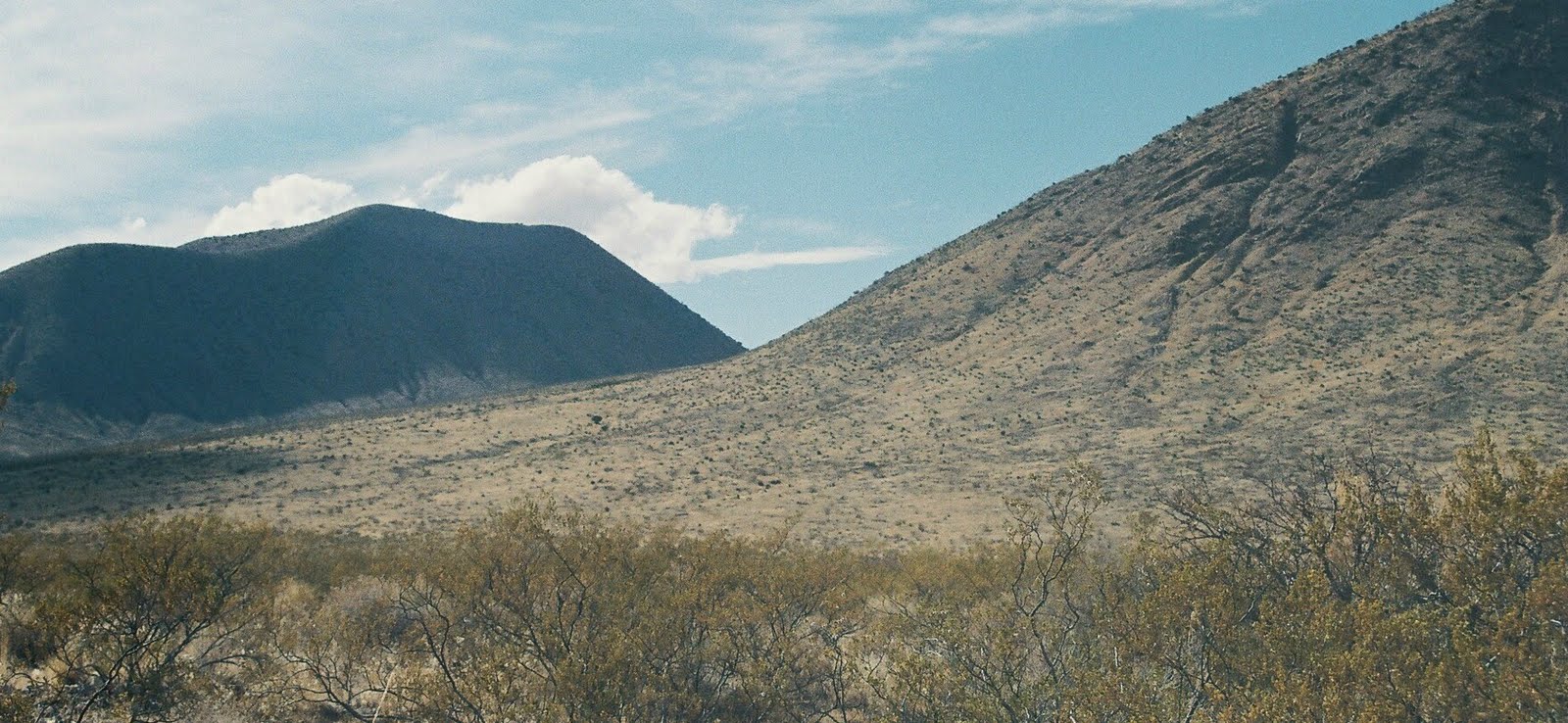 Southern New Mexico Explorer: Mount Riley Wilderness - Cox Peak, Organ ...