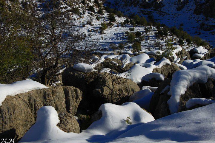 Makassed ERC: SNOW BEAUTY...MOUNT LEBANON..!