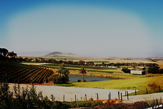 Ke-Monate Restaurant at Signal Gun Wine Farm: Ke-Monate Wine Bar and Bistro