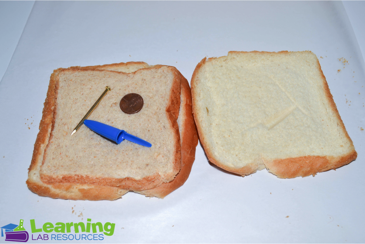 "Rock Sandwich" Science Lab | Learning Lab Resources | Bloglovin’