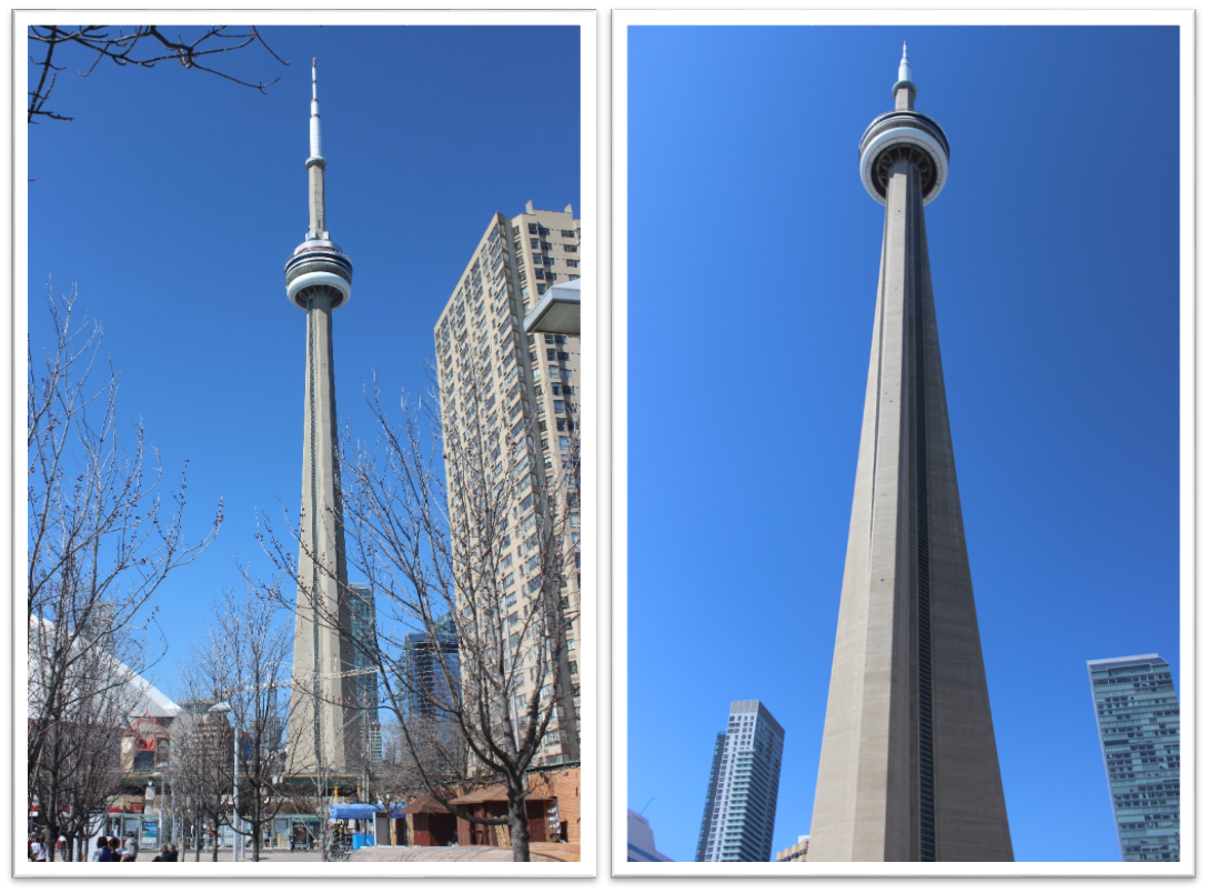 Newton and Wendy's Year in Toronto: CN Tower and Port Perry