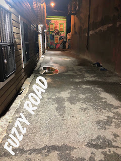 BAGeL Radio : indie rock noise pop internet radio: Fuzzy Road #222 ...