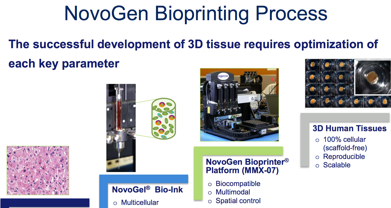 Organovo bioprinting human tissue for drug testing and within 6 years ...