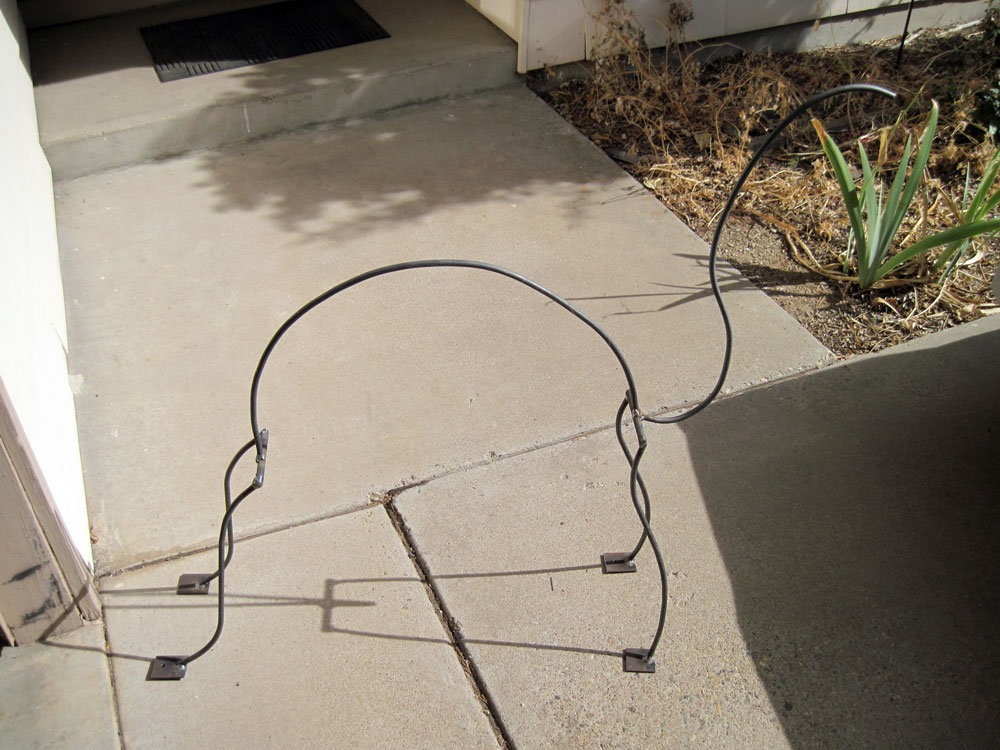 Zann Jones: Styrofoam Cat