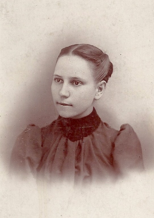 A moment's sunlight fading in the grass.: Gimbel, Hann, Fouts, DeKilder ...