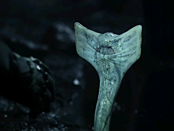 John Kenneth Muir's Reflections on Cult Movies and Classic TV: Ask JKM ...